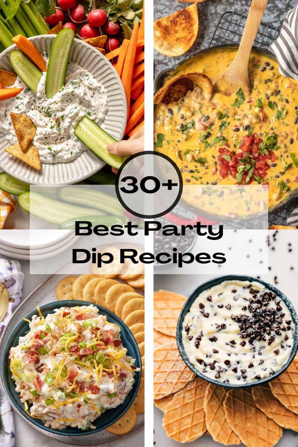 Best Party Dip Recipes - Kim's Cravings