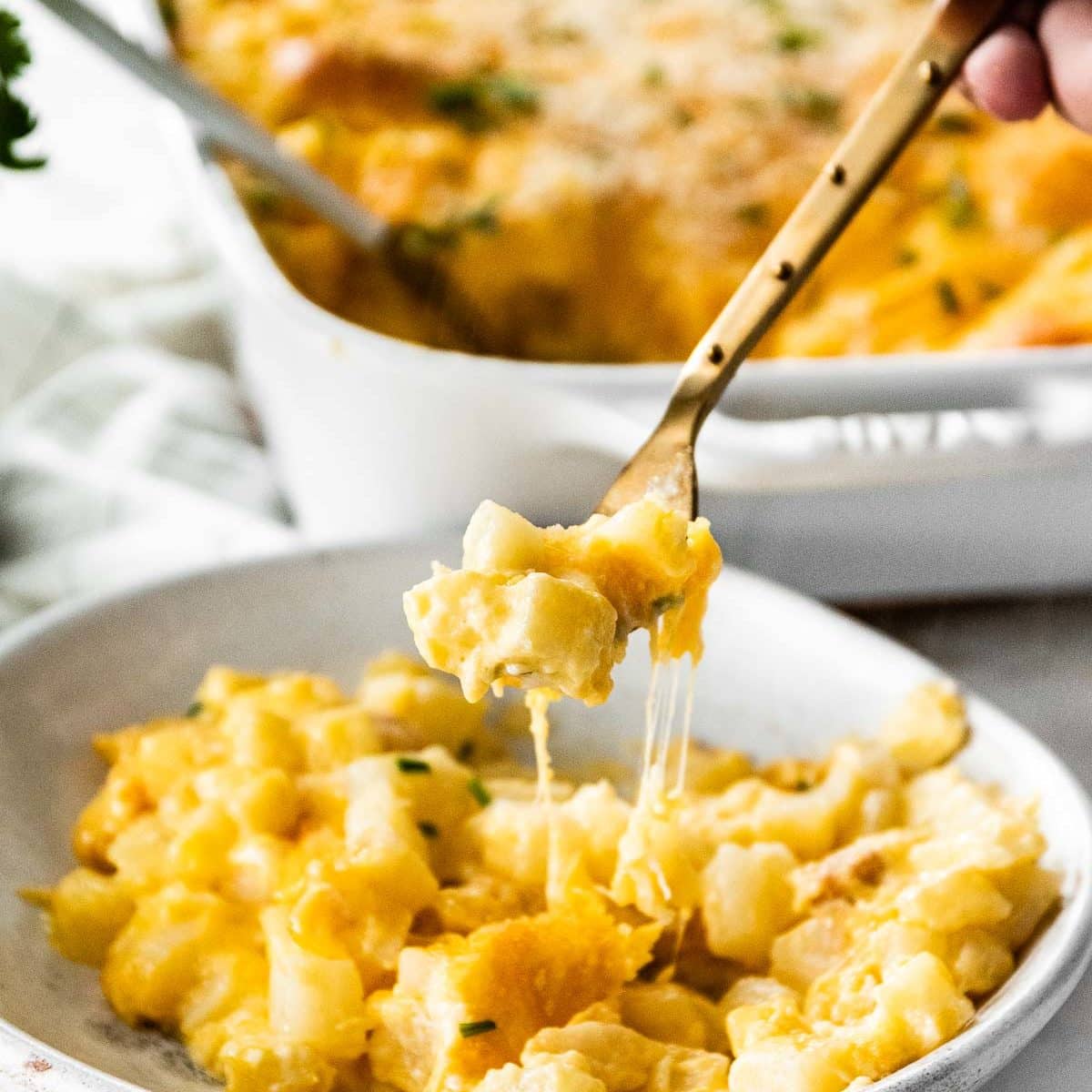 Cheesy Potato Casserole (Funeral Potatoes) - Kim's Cravings